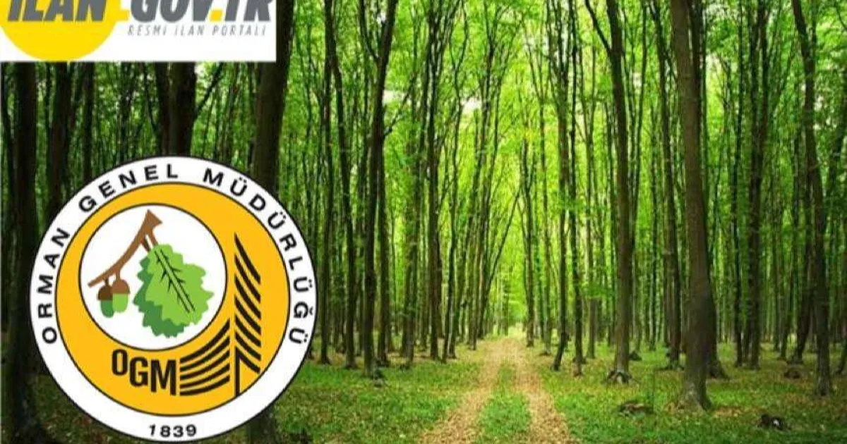 Orman Genel Müdürlüğü 5 Bin Geçici İşçi Alacak - Marmara Yaşam
