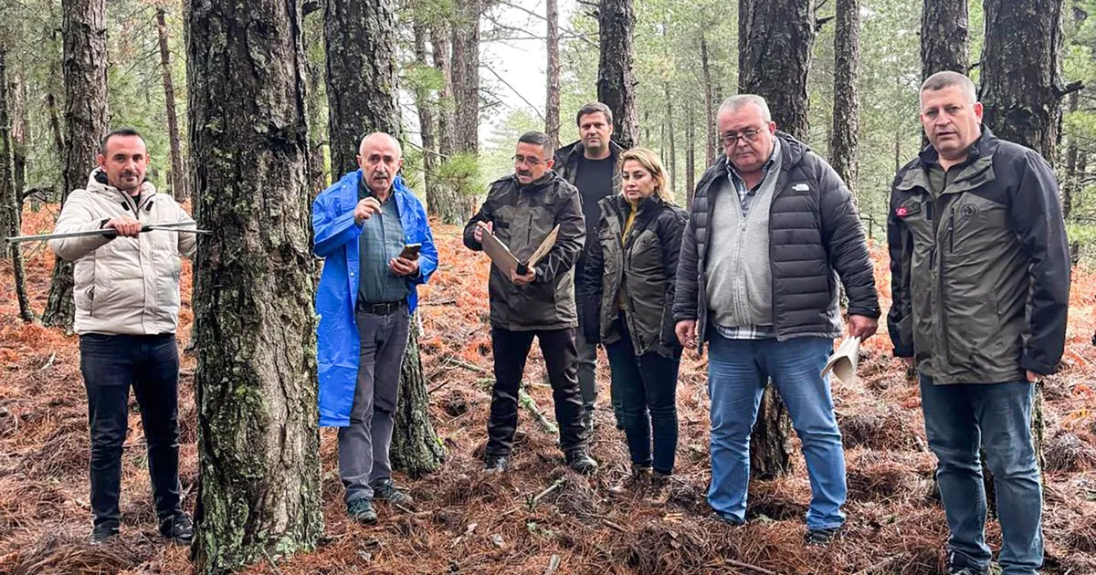 BALIKESİR OBM’DE 2025 YILI ORMANCILIK FAALİYETLERİNDE PERSONELLER BİLGİLENDİRİLDİ - Marmara Yaşam