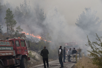 BALIKESİR’DEKİ ORMAN YANGINI 15 SAATİN SONUNDA KONTROL ALTINDA ALINDI ...